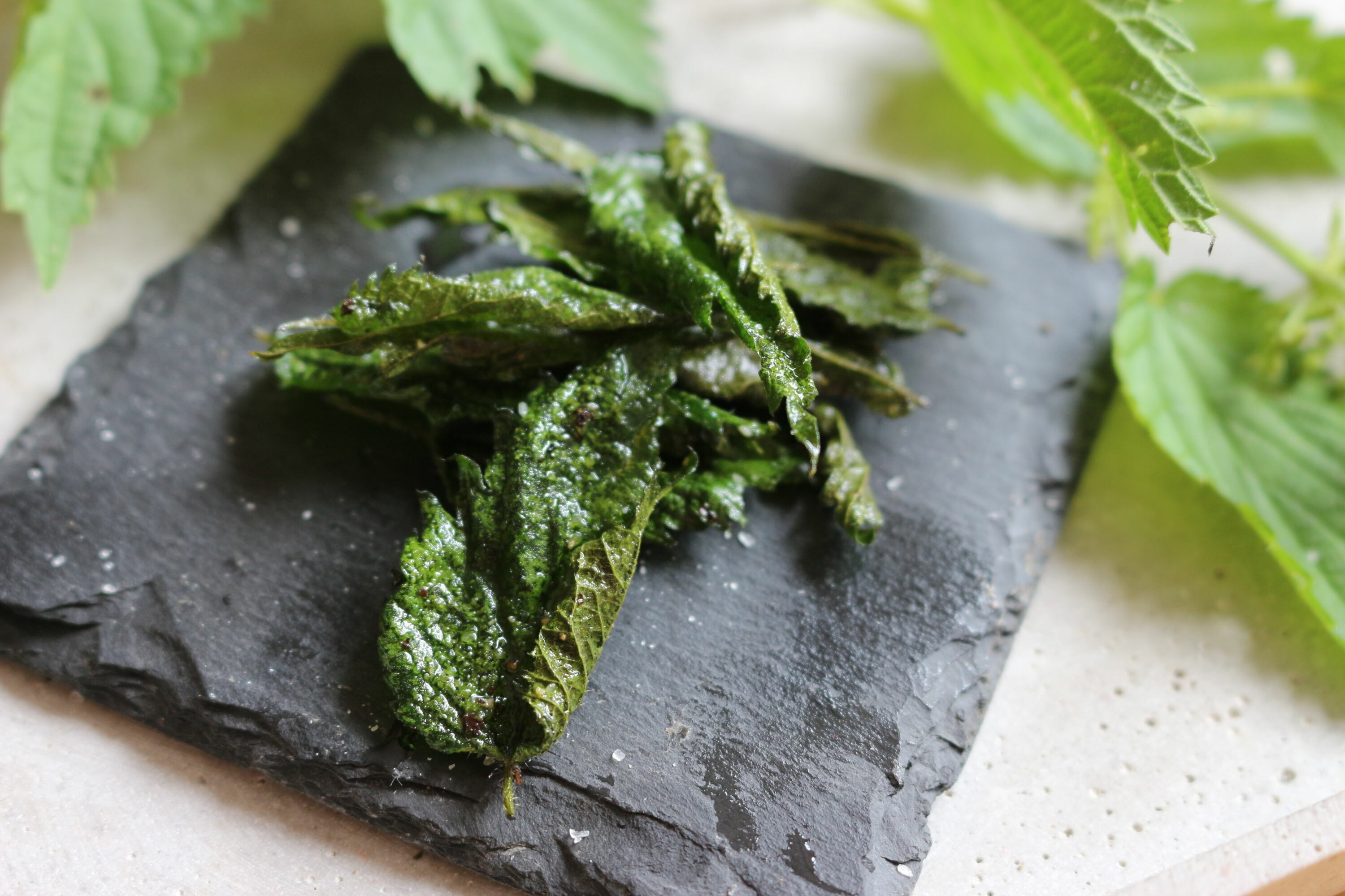 Selbstgemachte Brennnessel-Chips - Bergwelten