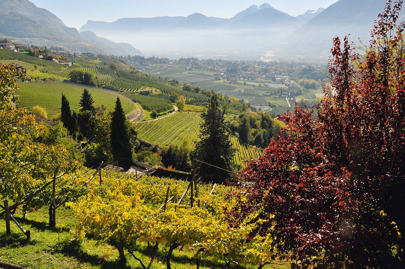 Herbstwandern rund um Meran: Natur, Wein und Tradition genießen ...