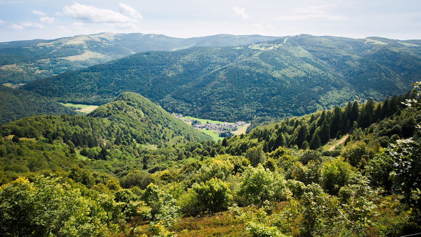 Vive les Vosges - Bergwelten