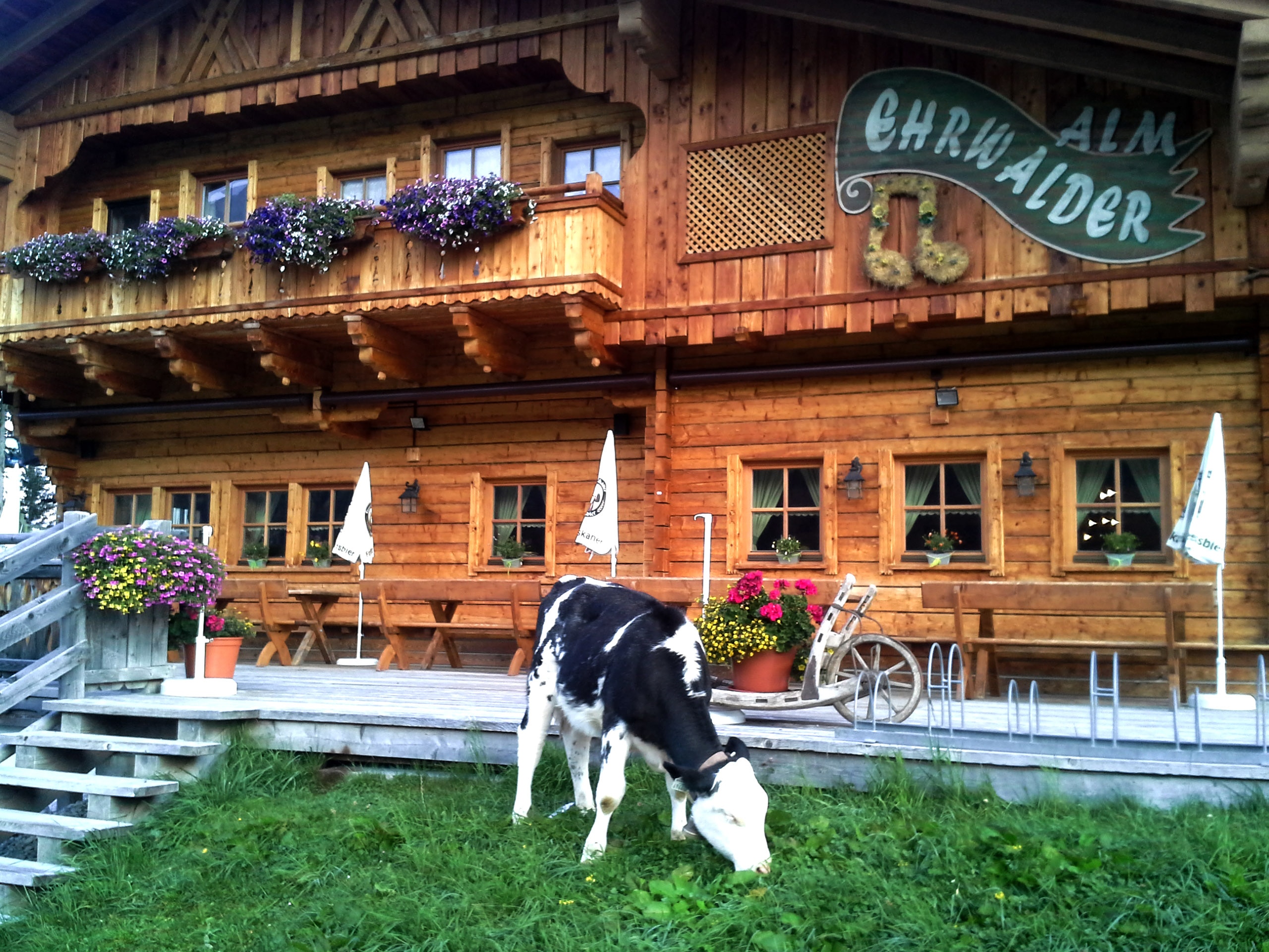 Ehrwalder Alm Tirol - Touren, Wetter, Zimmer - Bergwelten