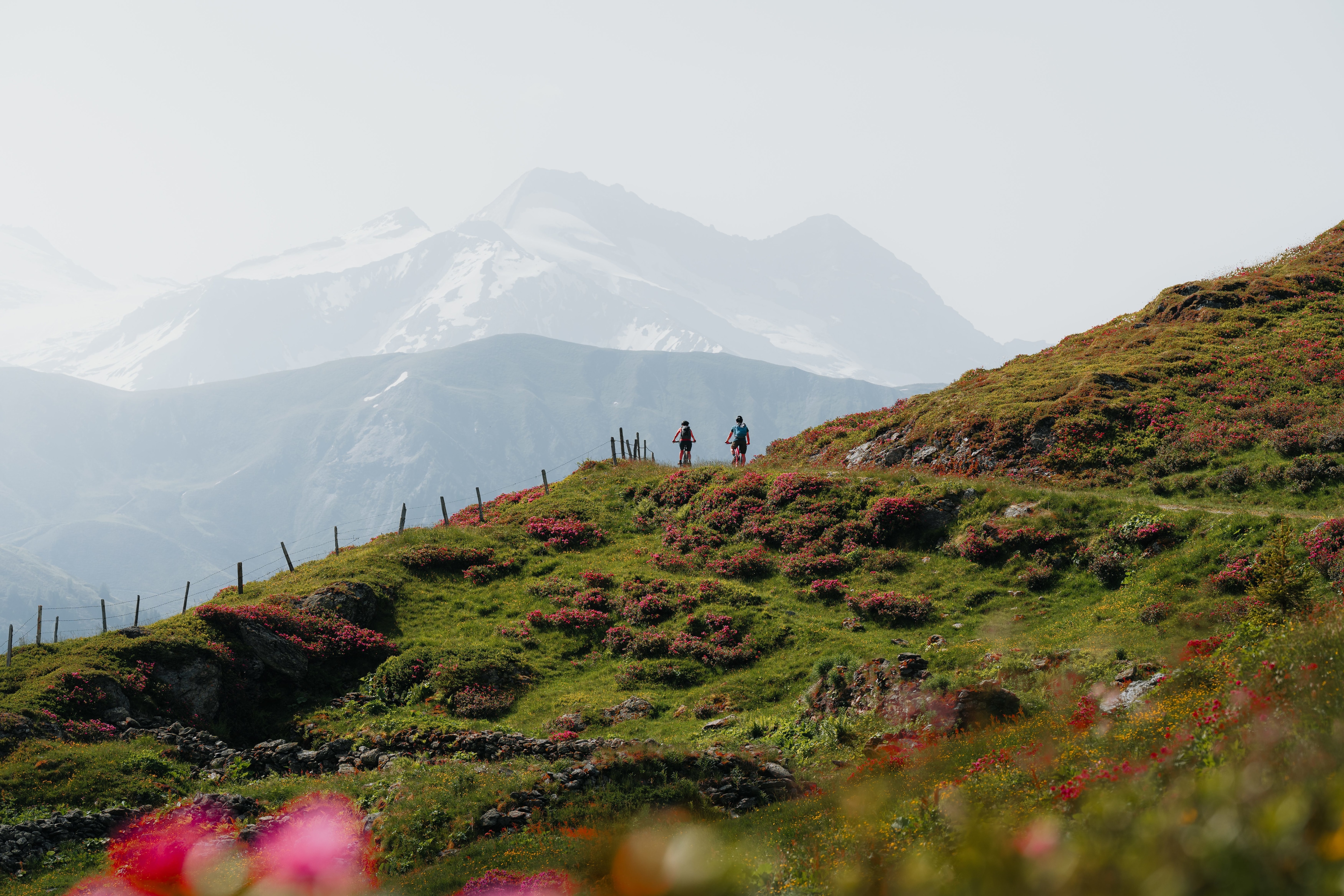 Pfoner Ochsenalm Tirol - Touren, Wetter, Zimmer - Bergwelten