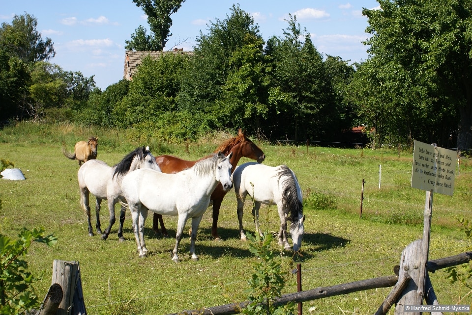 Wandern: Hohe Dubrau und Monumentberg - 3:00 h - 12 km - Bergwelten