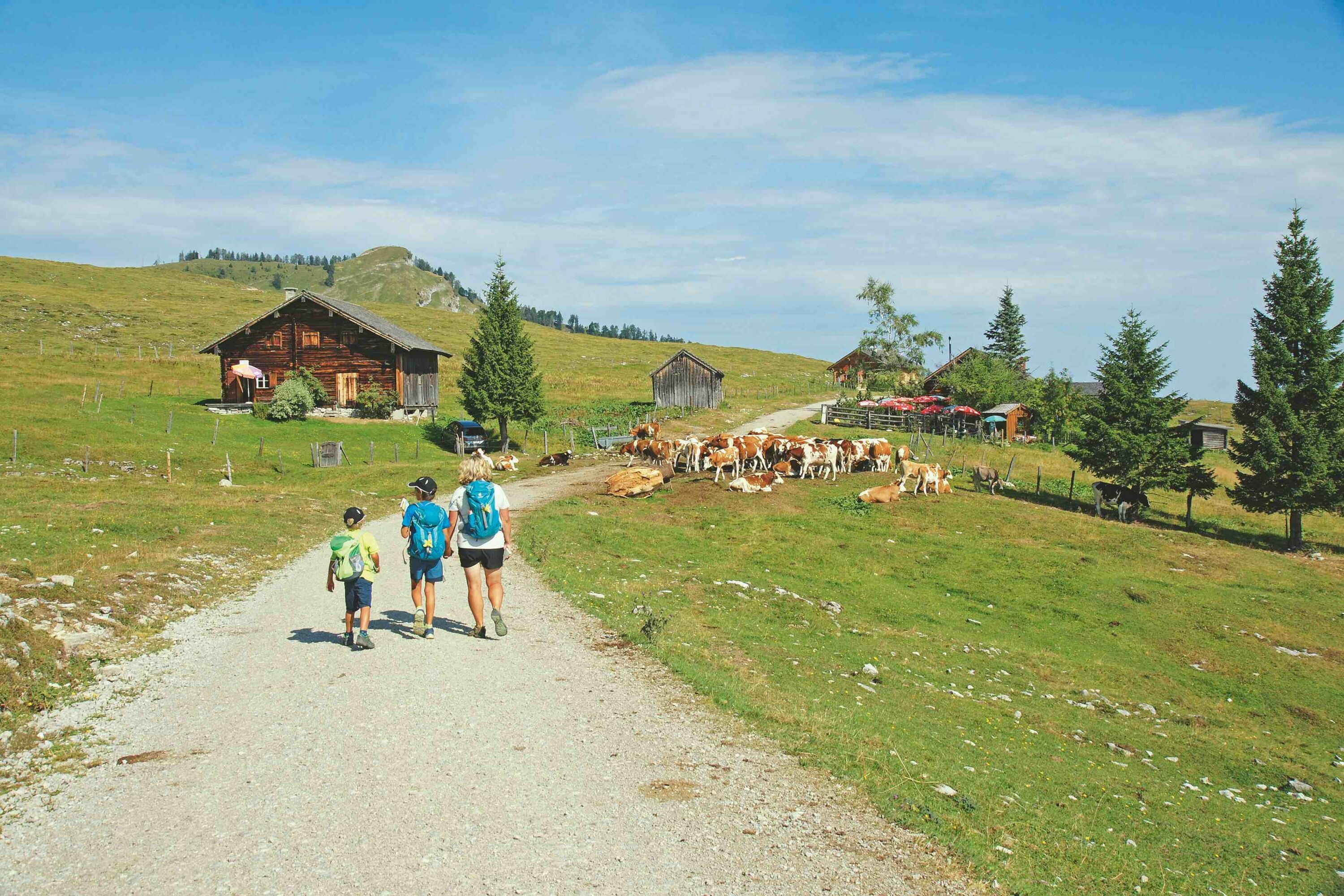 Wandern: Postalm - Auf das Wieslerhorn - 3:00 h - 9 km - Bergwelten