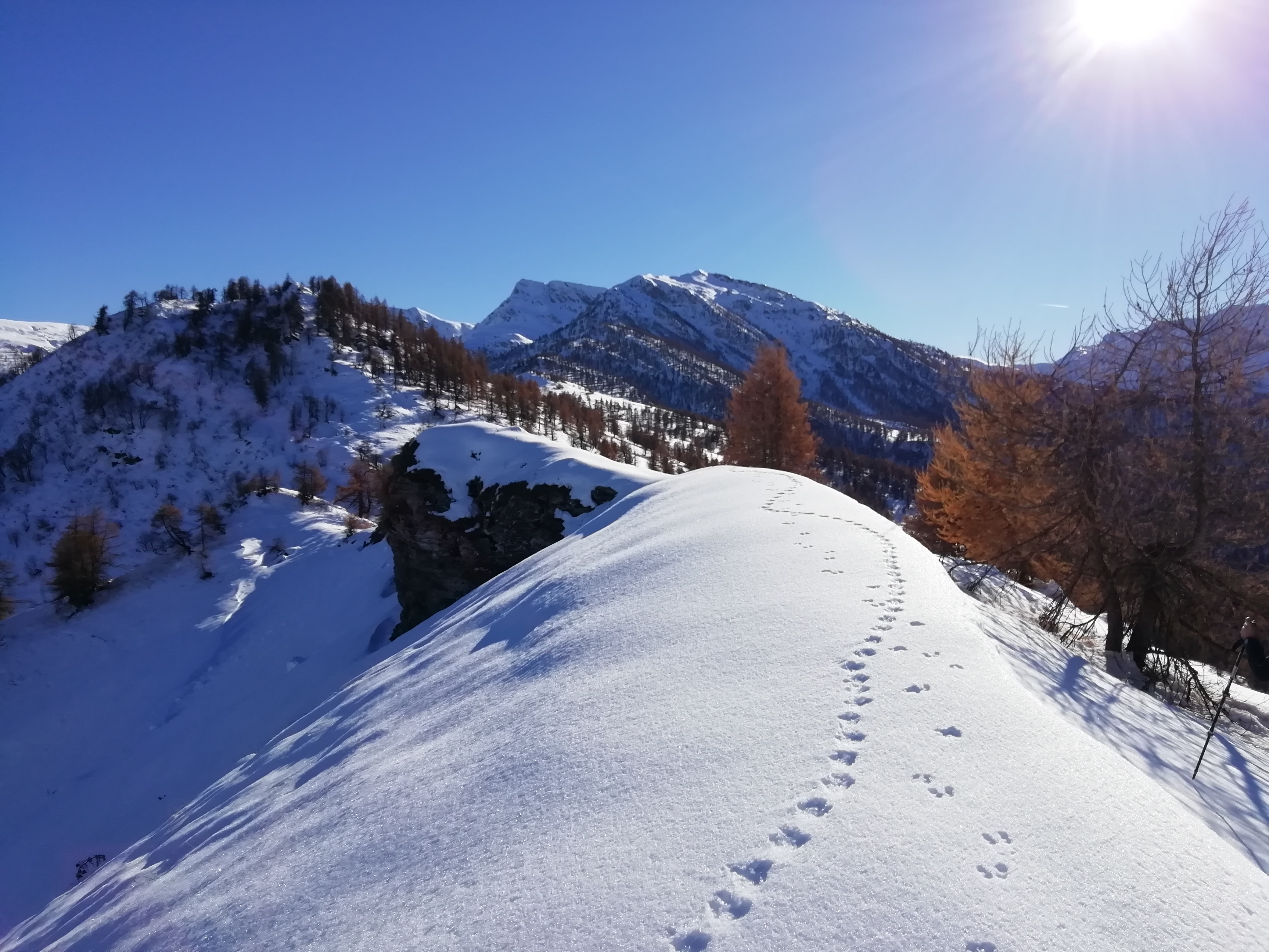 Skitouren: Auf den Costa Chiggia von Marmora - 2:00 h - 3 km - Bergwelten