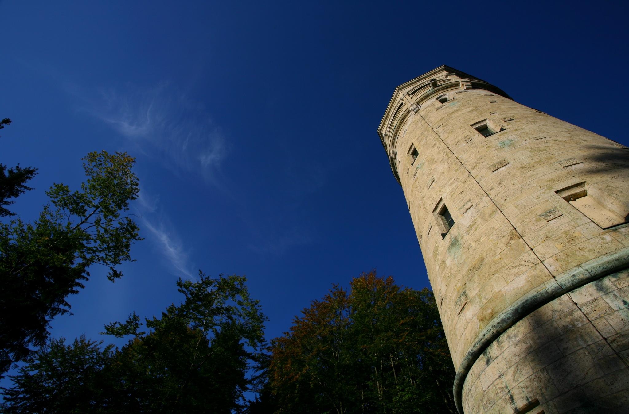Wandern: Familientraumtour Taubenberg - 3:00 h - 12 km - Bergwelten