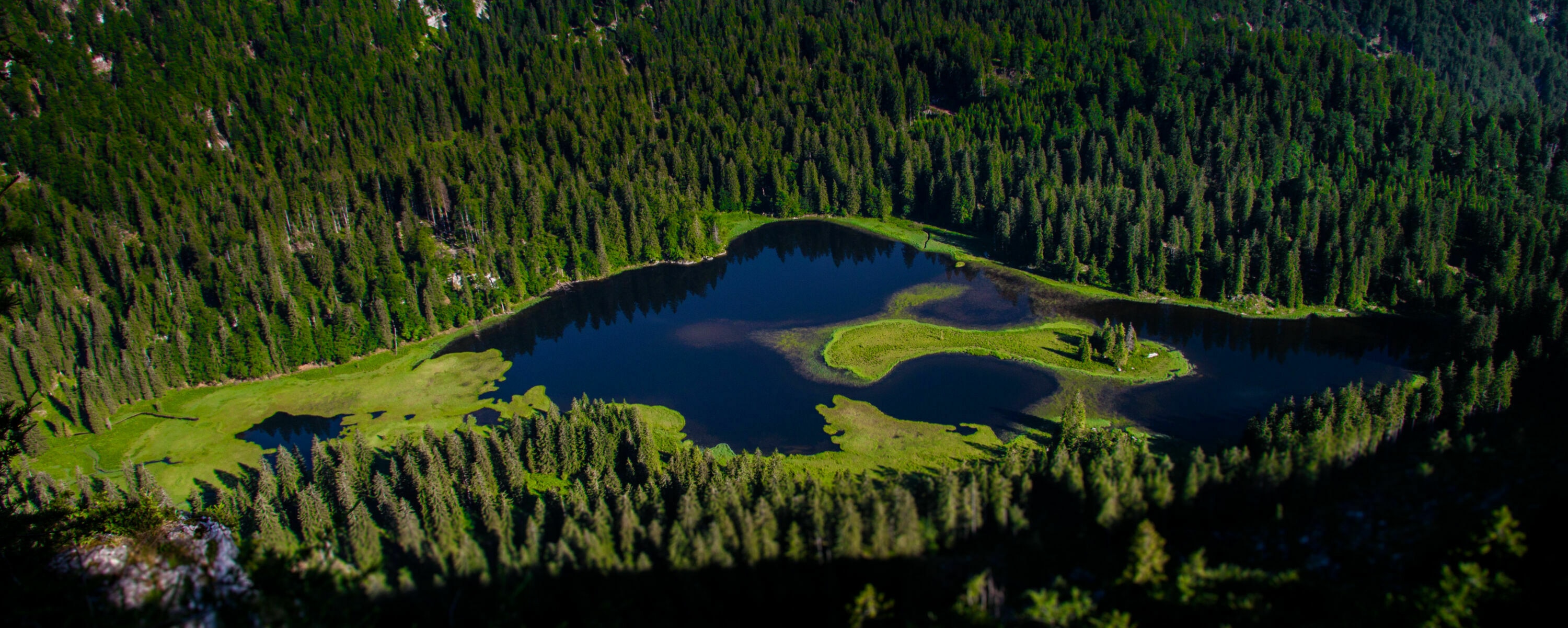 Wandern: Lunzer See Uferweg - 1:30 h - 4 km - Bergwelten