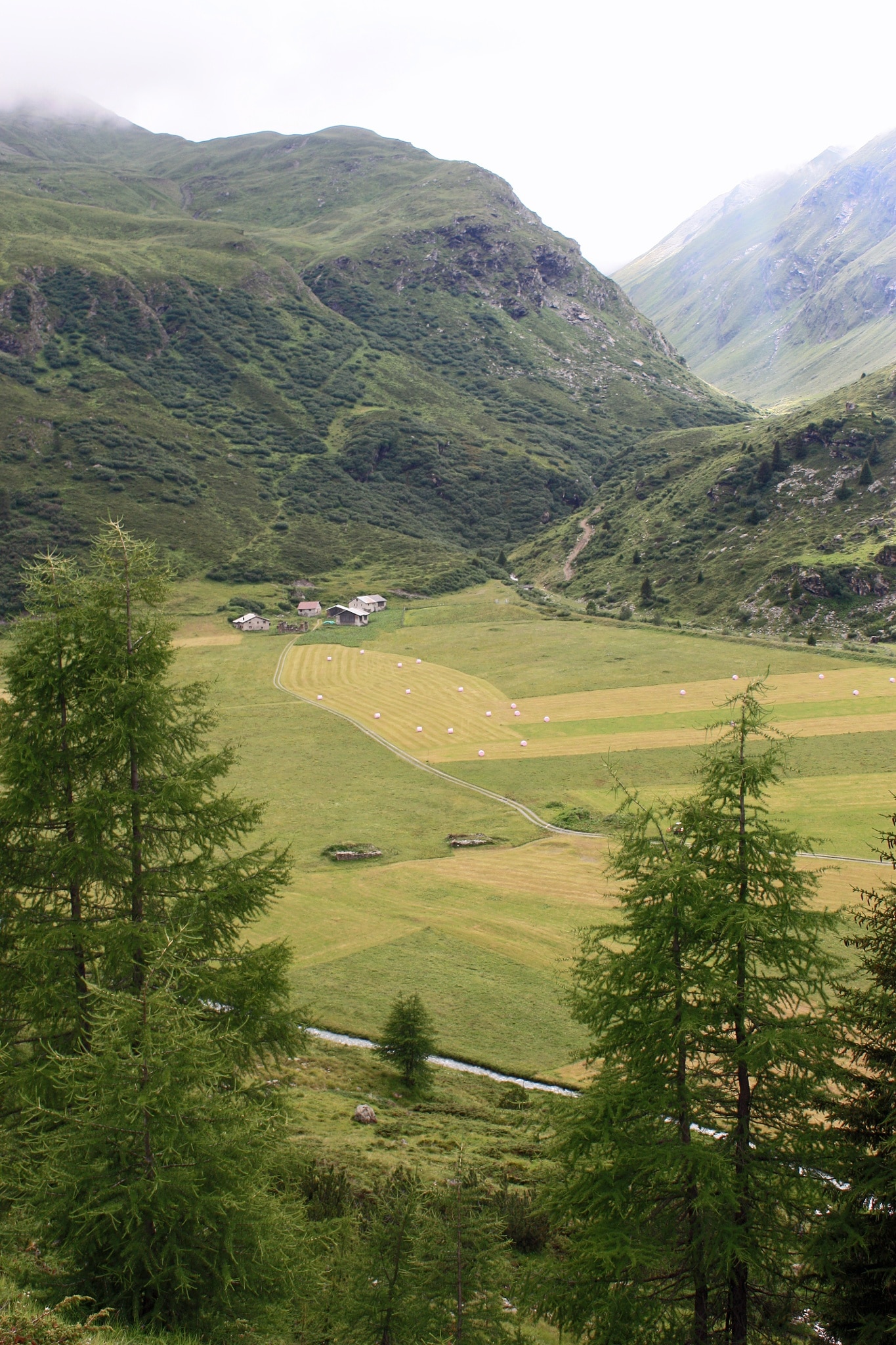 Wandern: Parc Ela Trek - Etappe 4: Plang Faller - Fallerfurgga - Juf ...