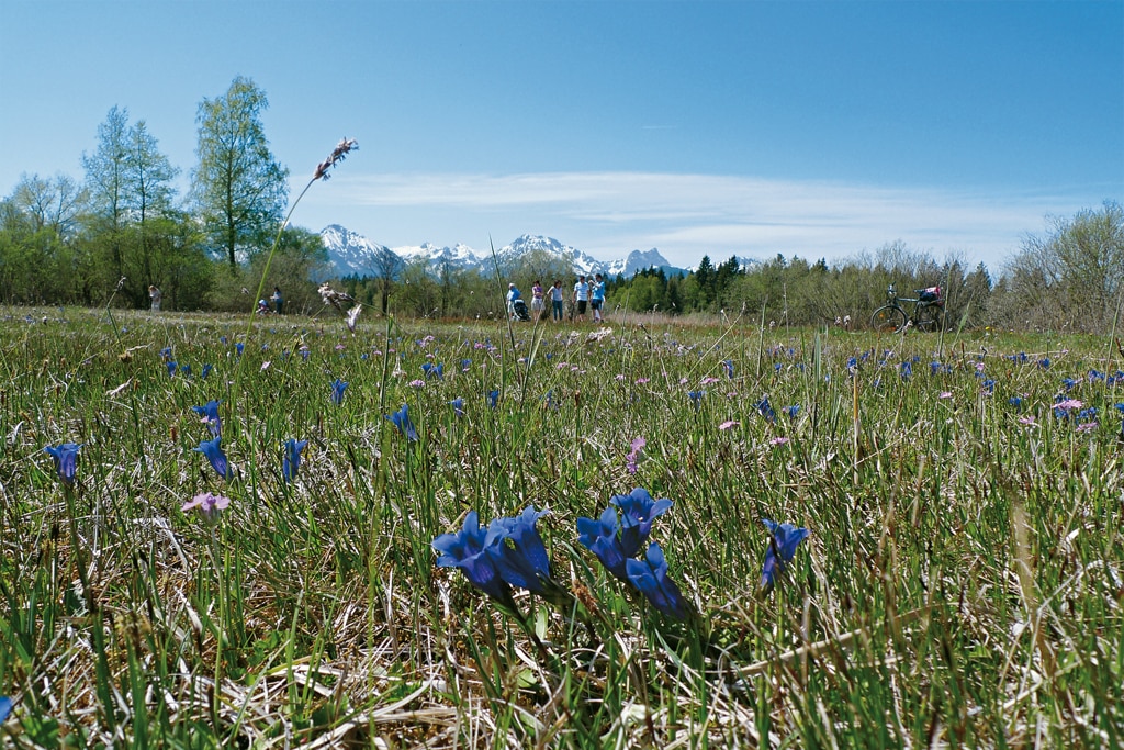 Wandern: Rund um den Hopfensee - 2:15 h - 8 km - Bergwelten