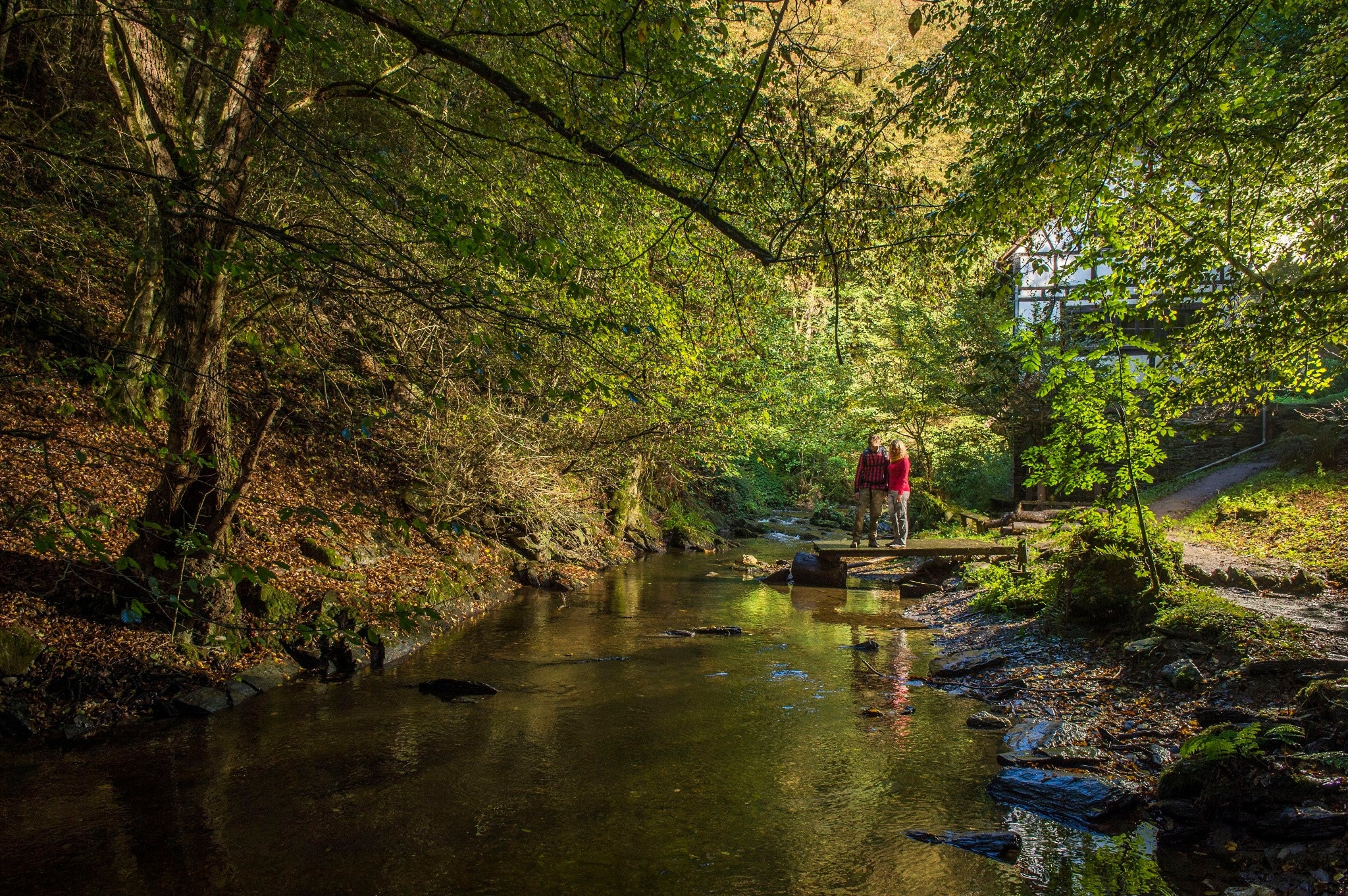 Wandern: Saar-Hunsrück-Steig - Etappe 21: Von Kastellaun nach ...